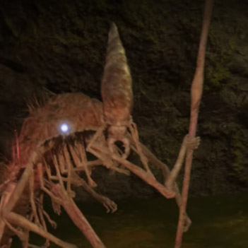 Elden Ring Kindred of Rot Location | Where To Find & Drops