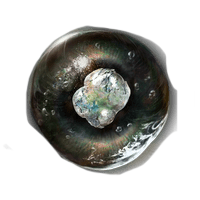 Elden Ring Opaline Hardtear | Where To Find