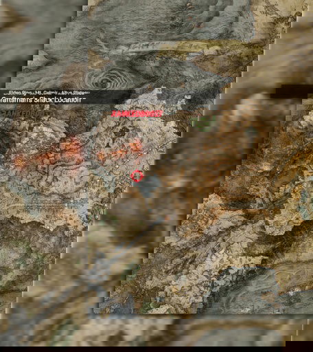 Elden Ring Craftsman's Shack Guide | Bosses, Items, Materials