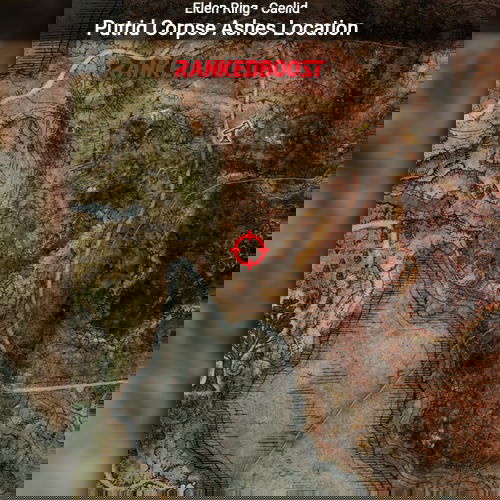 Elden Ring Putrid Corpse Ashes Builds | Where To Find Location, Effect