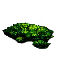 Elden Ring Dragonbarrow Cave Guide | Bosses, Items, Materials