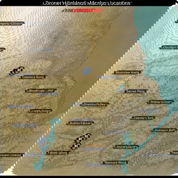 Pokemon Legends Arceus Machamp | Locations, Moves, Stats