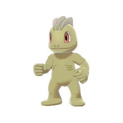 Pokemon Sword and Shield Machop | Locations, Moves, Weaknesses
