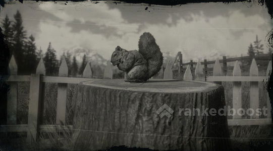 Red Dead Redemption 2 Squirrel | Locations, Crafting, Legendary, Materials