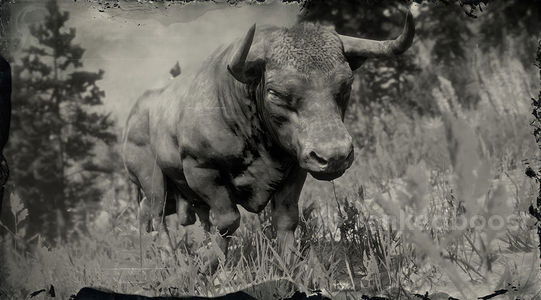 Red Dead Redemption 2 Oxen | Locations, Crafting, Legendary, Materials