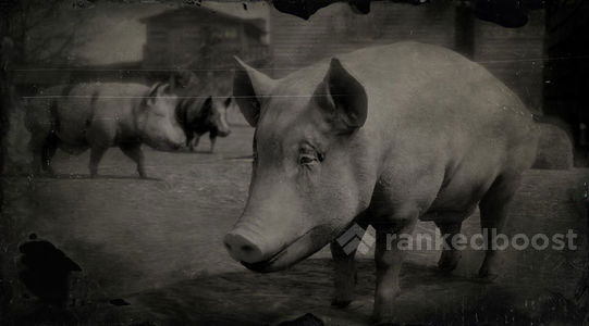 Red Dead Redemption 2 Pig | Locations, Crafting, Legendary, Materials