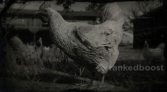 Red Dead Redemption 2 Chicken | Locations, Crafting, Legendary, Materials