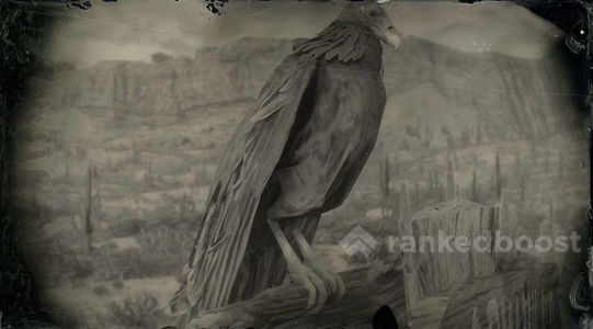 Red Dead Redemption 2 Vulture | Locations, Crafting, Legendary, Materials