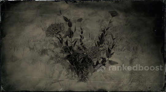 Red Dead Redemption 2 English Mace Where To Find and Craft