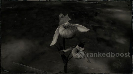 Red Dead Redemption 2 Queen's Orchid Where To Find and Craft