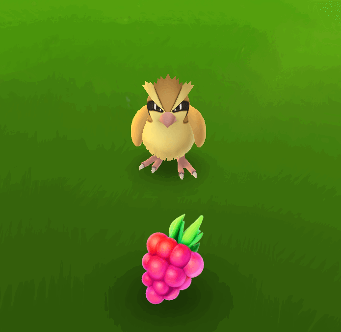 Pokemon Go Berries | Golden Razz, Bluk, Nanab, Pinap and Wepar Berry