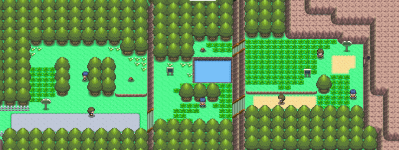 Pokemon Brilliant Diamond & Shining Pearl Route 203