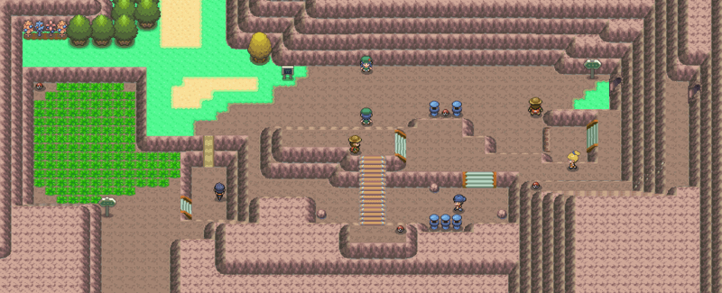 Pokemon Brilliant Diamond & Shining Pearl Route 207