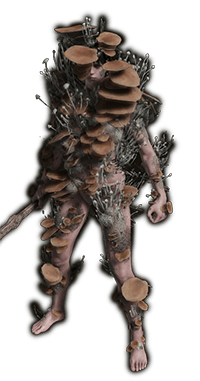 Elden Ring Mushroom Set Armor | Builds, Location, Stats